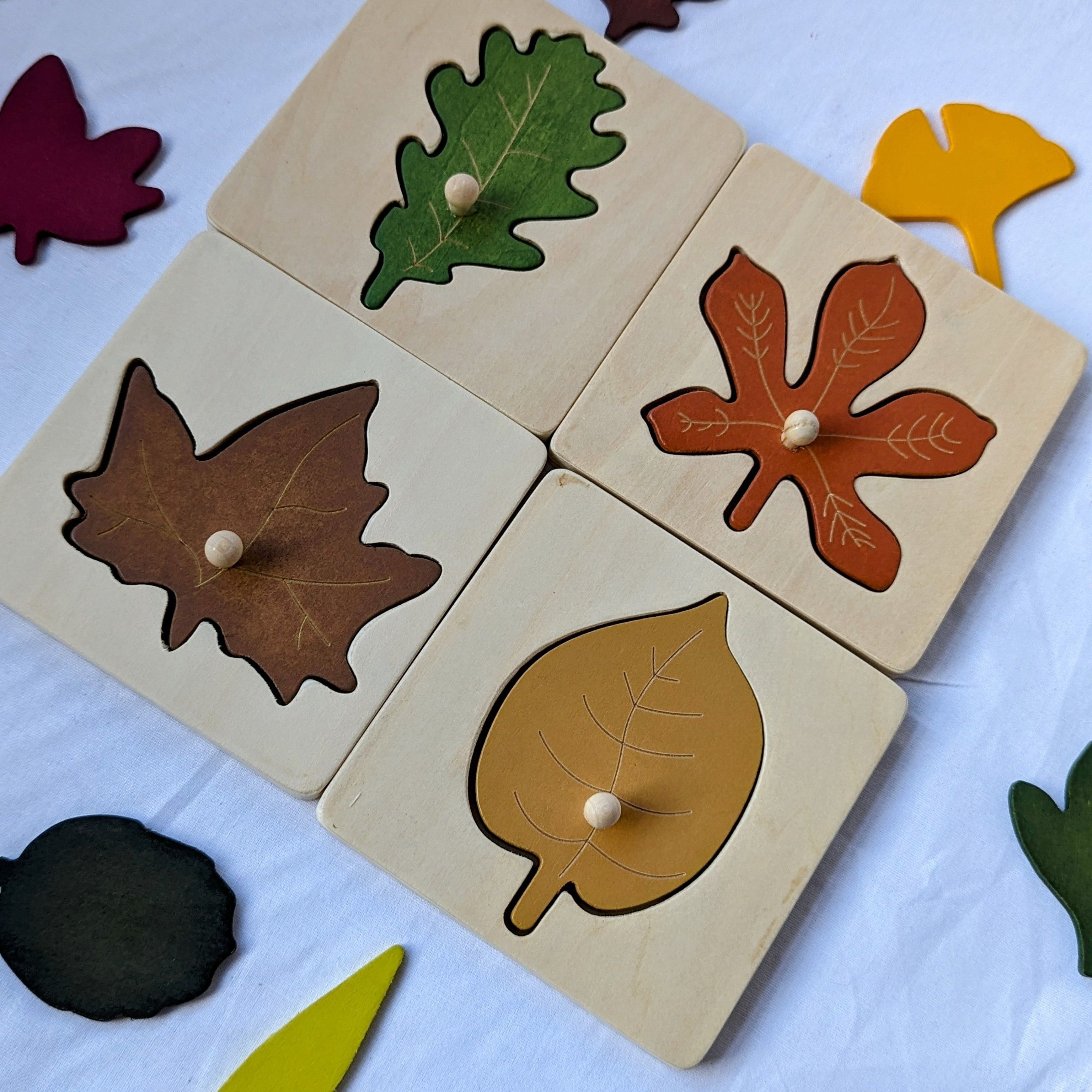 Montessori Wooden Leaf Puzzle- Set of 4 – Beautiful Mines